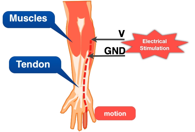 PossessedHand: Techniques for controlling human hands using electrical ...
